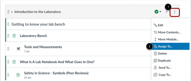 Canvas Update: Assign Module to Specific Students or Groups – P-CCSK12 Tech